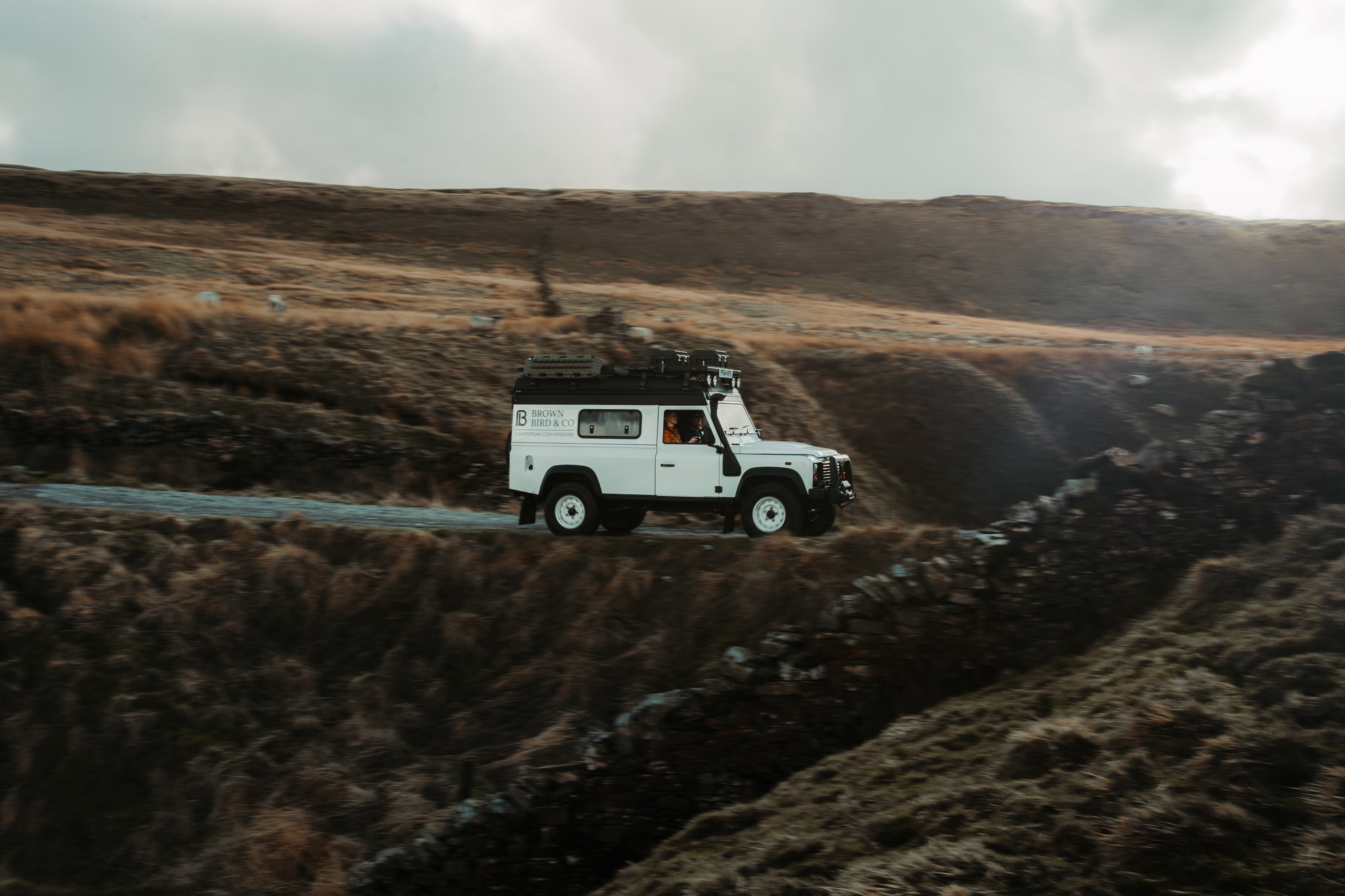 Brown Bird Defenders