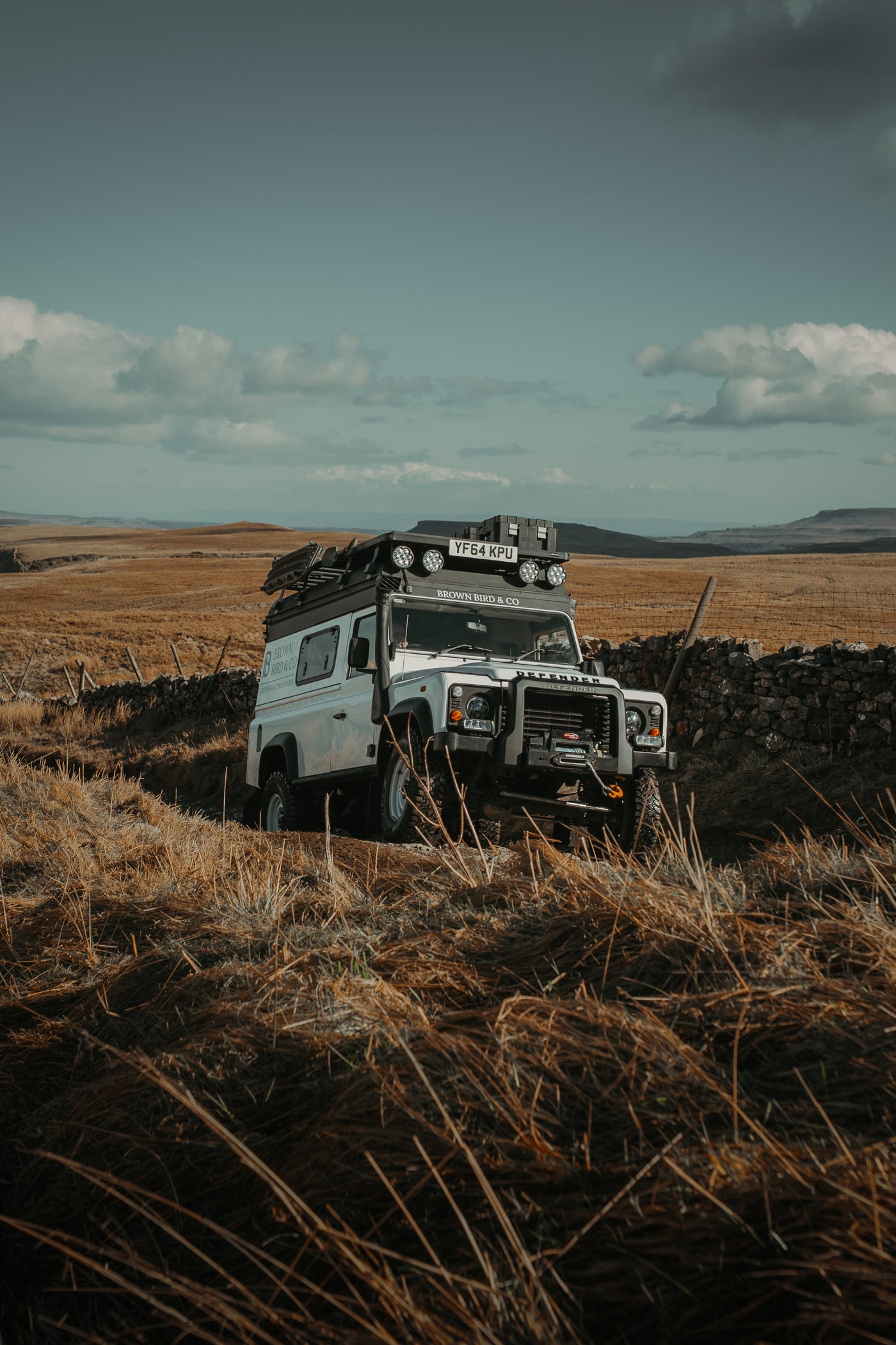 Brown Bird Defenders